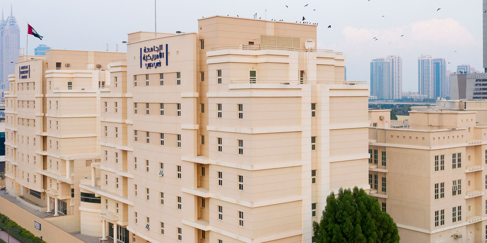 Reimagine the Residential Halls | American University in Dubai (AUD)